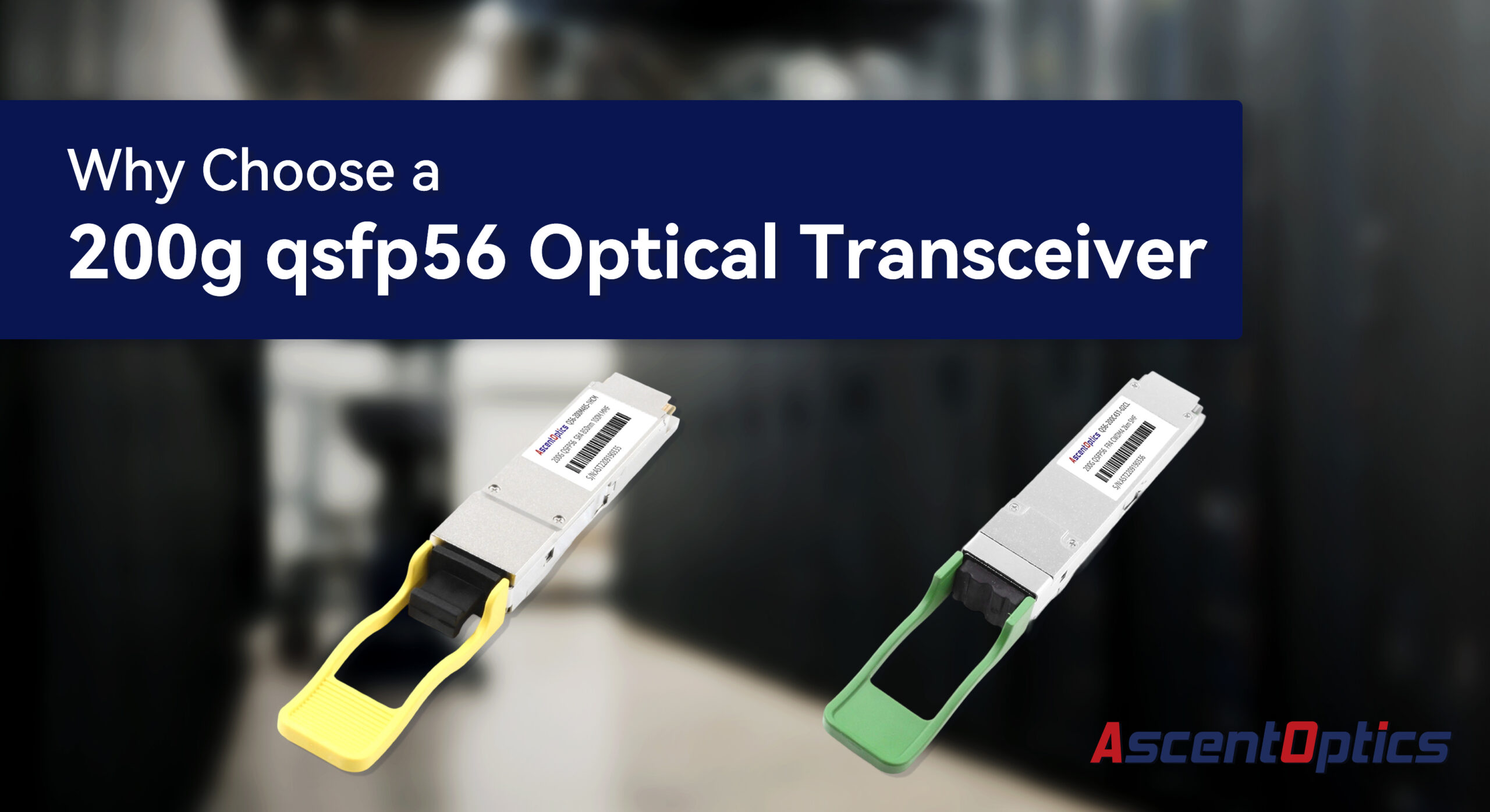 Why Choose a 200g qsfp56 Optical Transceiver? - AscentOptics Blog