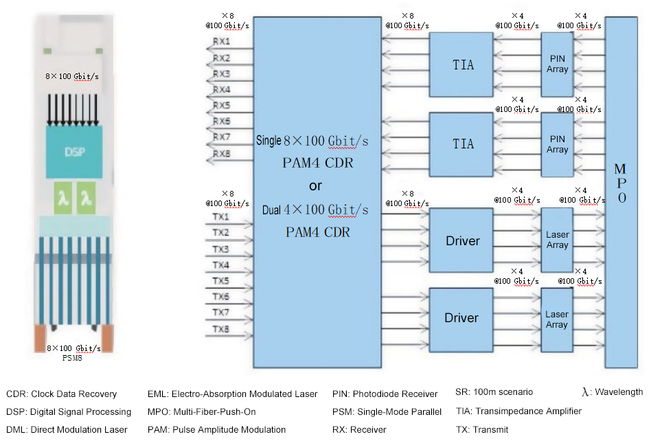 The Technology and Application Prospects Of 800G Optical Modules - AscentOptics Blog