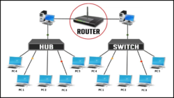 The Complete Guide to Different Types of Network Switches for Your ...