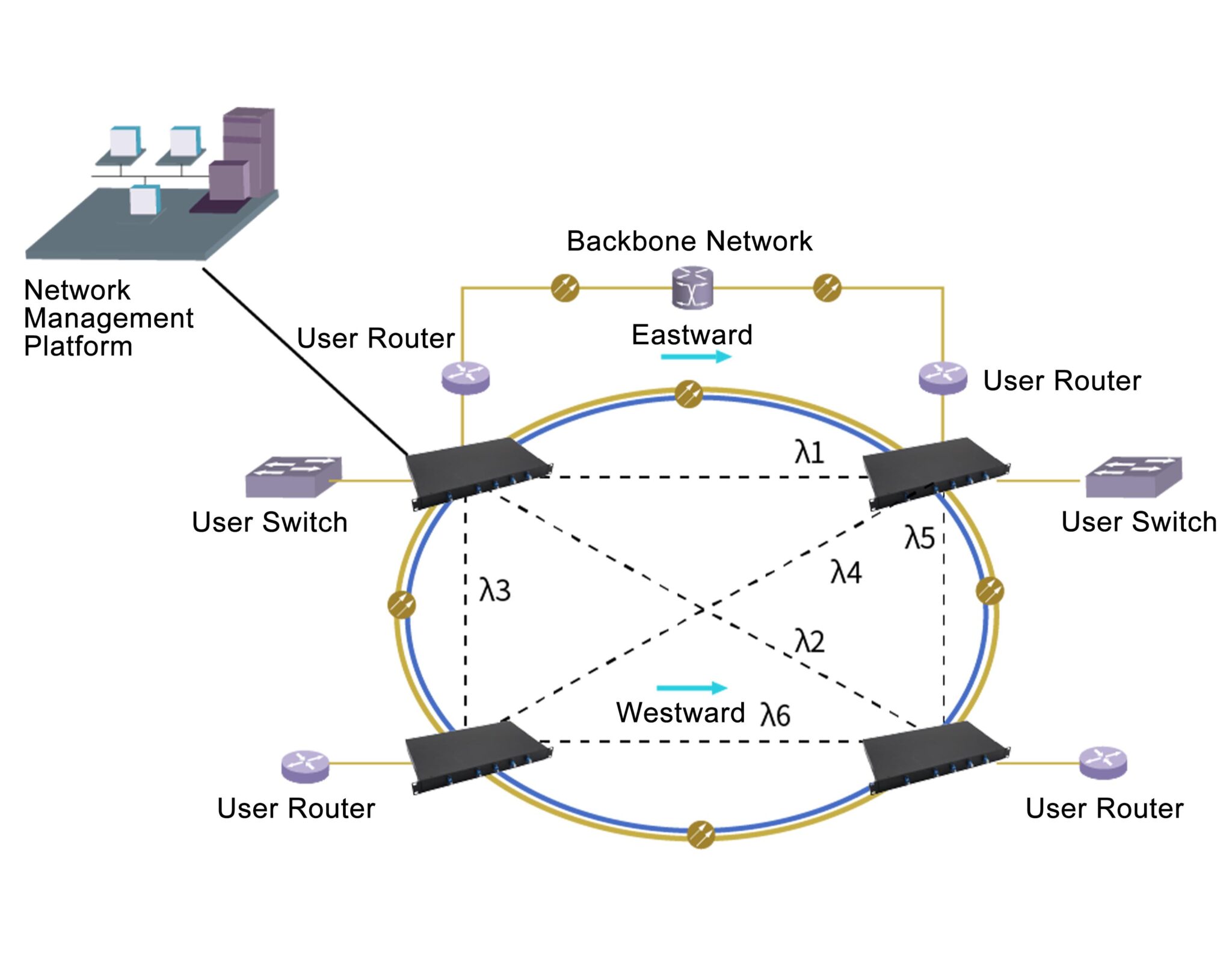 CWDM/DWDM System Application Solutions - AscentOptics Blog
