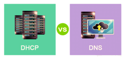 DNS vs DHCP: Exploring the Key Differences - AscentOptics Blog