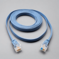 Flat Ethernet Cable vs Round: Everything You Need to Know ...