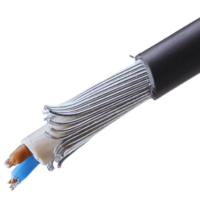 Understanding Armored Cable: Essential Guide to Metal-Clad Power ...