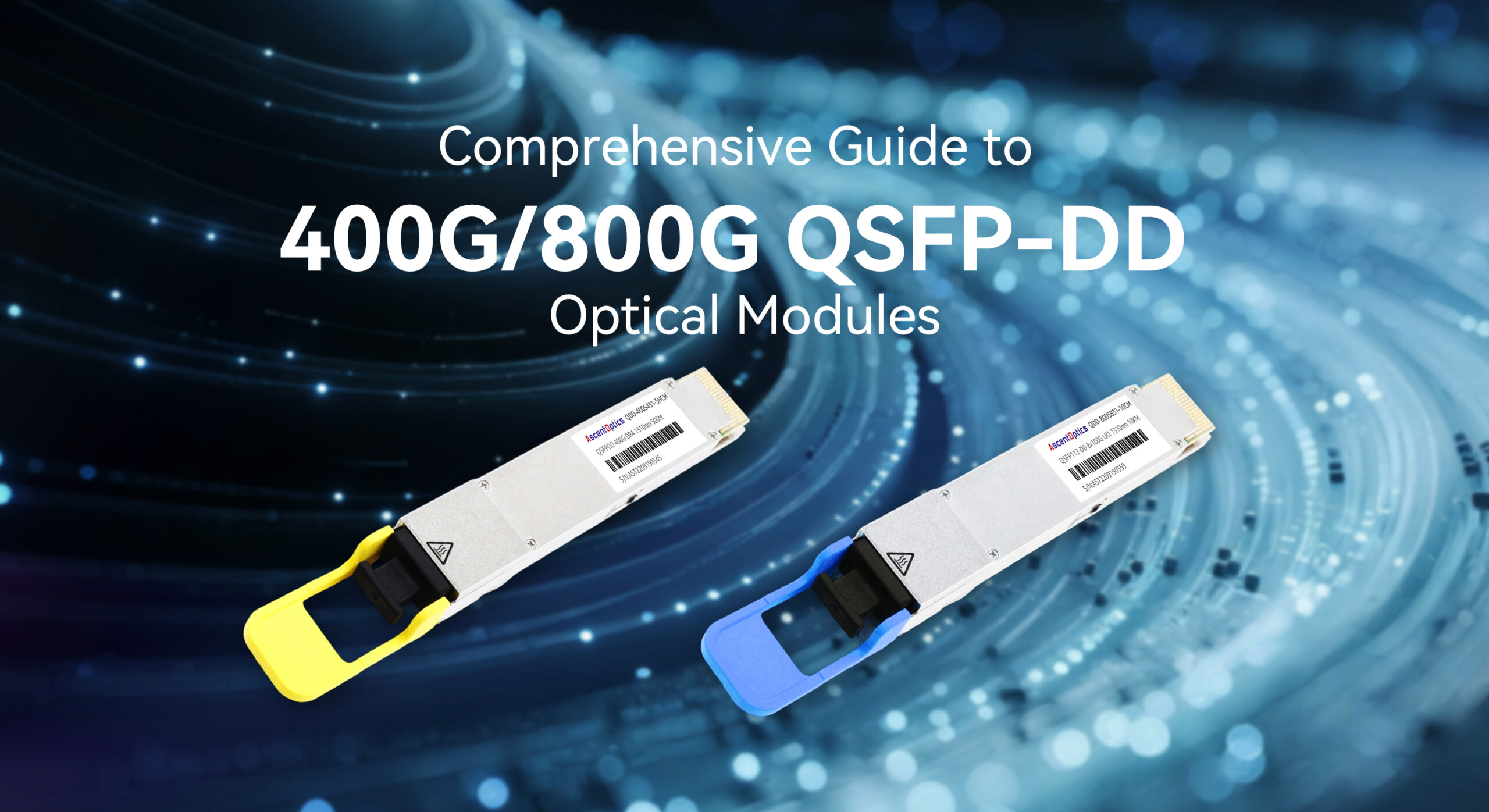 Comprehensive Guide to 400G/800G QSFP-DD Optical Modules - AscentOptics ...