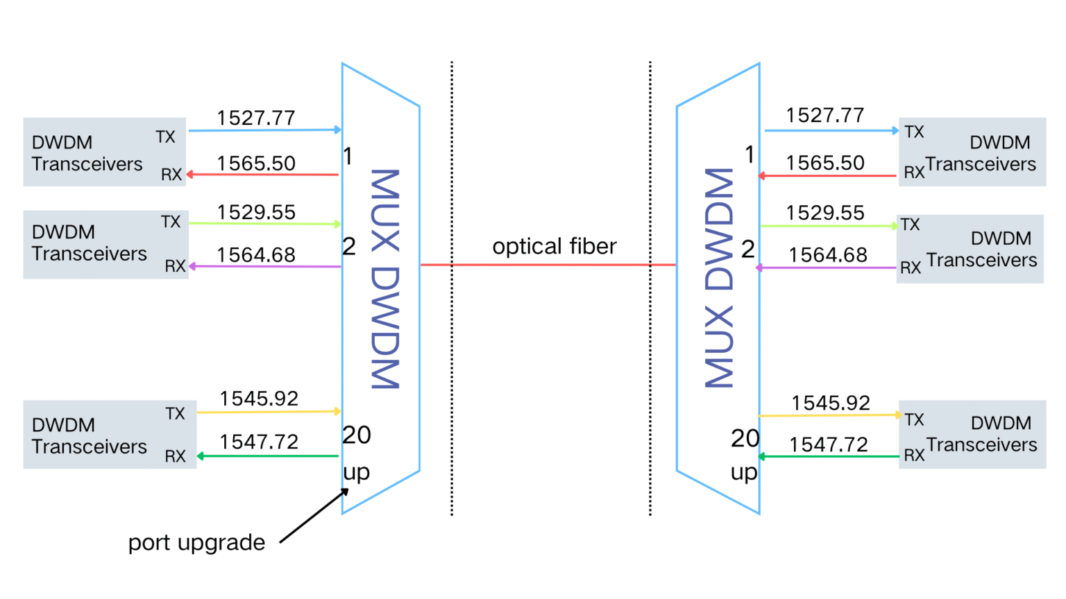 Comprendre les systèmes DWDM passifs et actifs - Blog AscentOptics