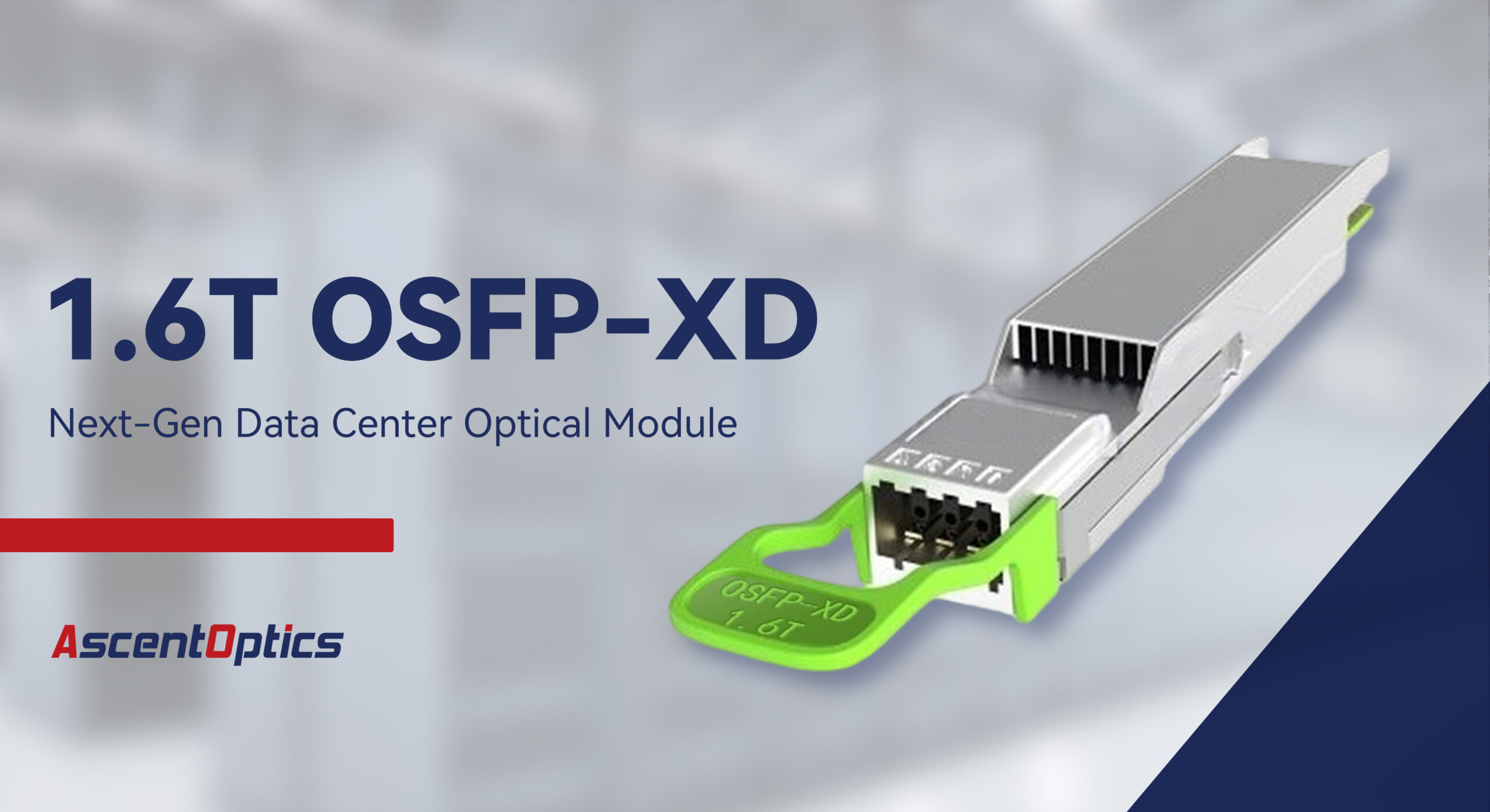 1.6T OSFP-XD: Next-Gen Data Center Optical Module - AscentOptics Blog