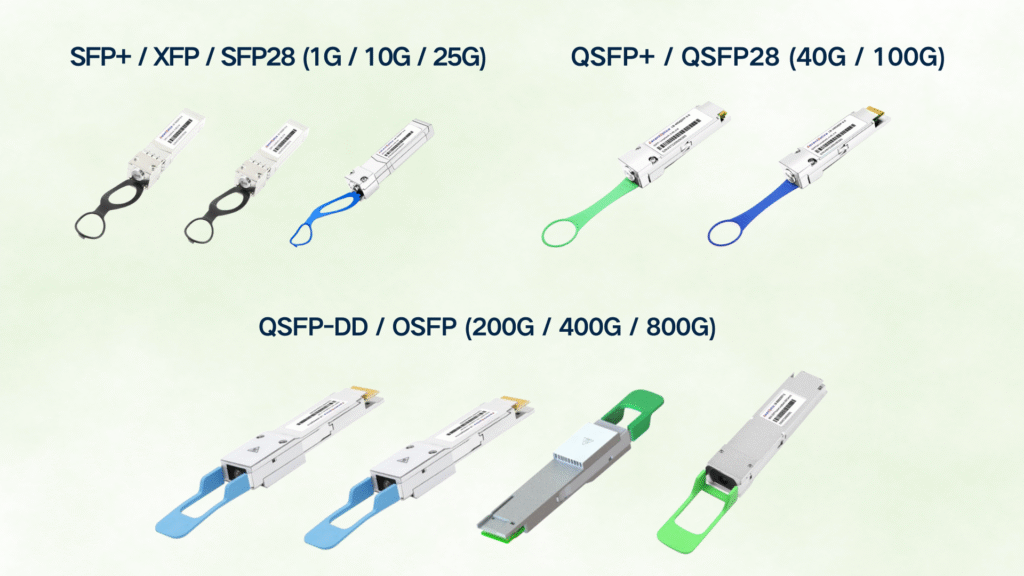 800G OSFP Loopback Module for High-Efficiency Network Testing ...