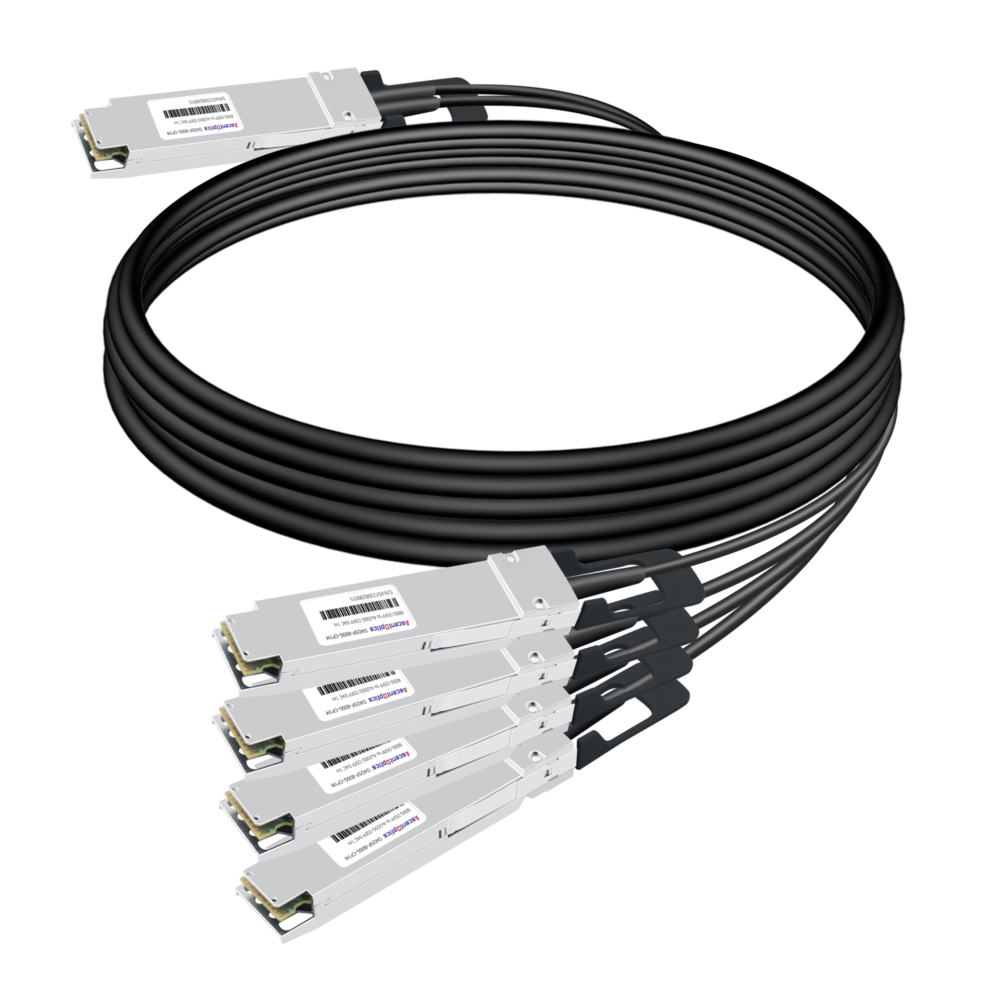800G OSFP to 4x 200G OSFP Breakout DAC 1m | AscentOptics