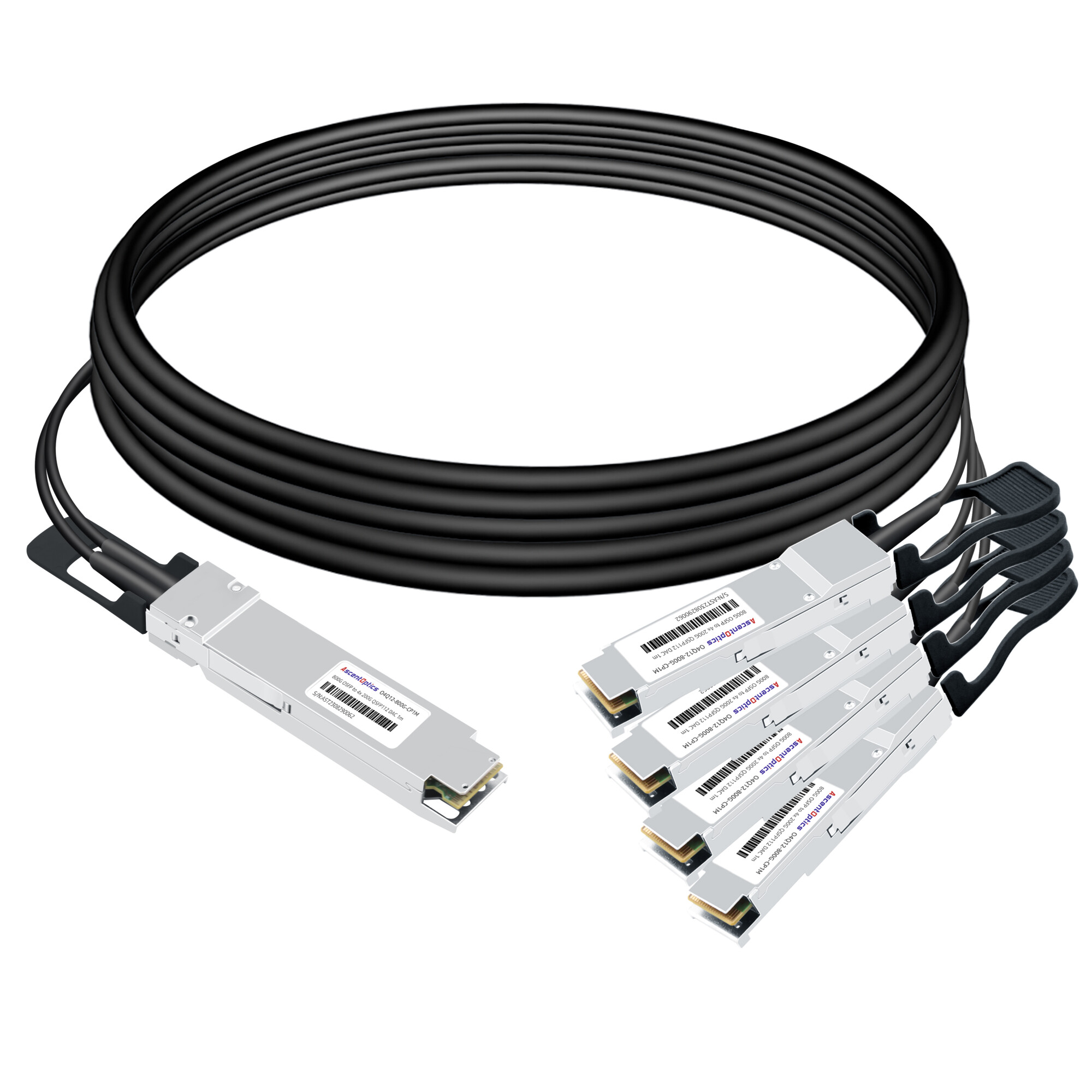 800G OSFP ถึง 4x 200G QSFP112 ฝ่าวงล้อม DAC 1 ม. | แอสเซนต์ออปติกส์